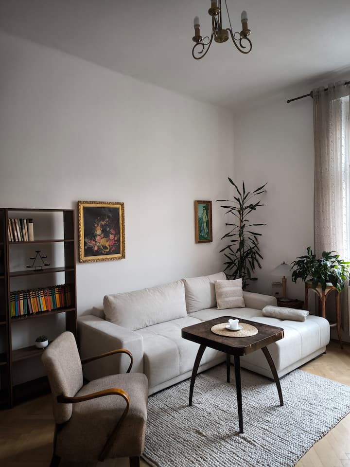 ÚTulný Byt V Blízkosti Lázeňské Kolonády - Karlovy Vary