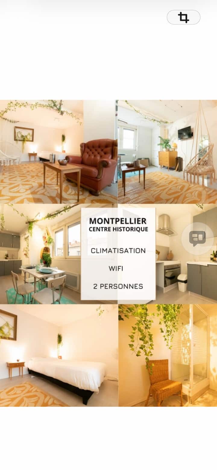 Le Vintage : Centre-ville - Montpellier
