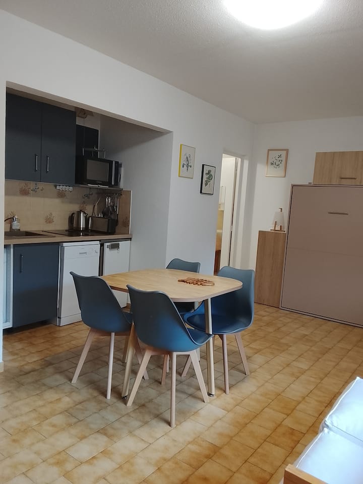 Studio Lumineux Proche Vésubia Et Centre+ Parking. - Lac du Boréon