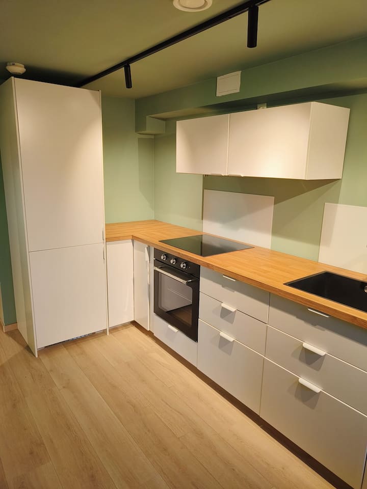 Nyrenovert 3 Roms Sokkelleilighet Eget Parkering - Ålesund