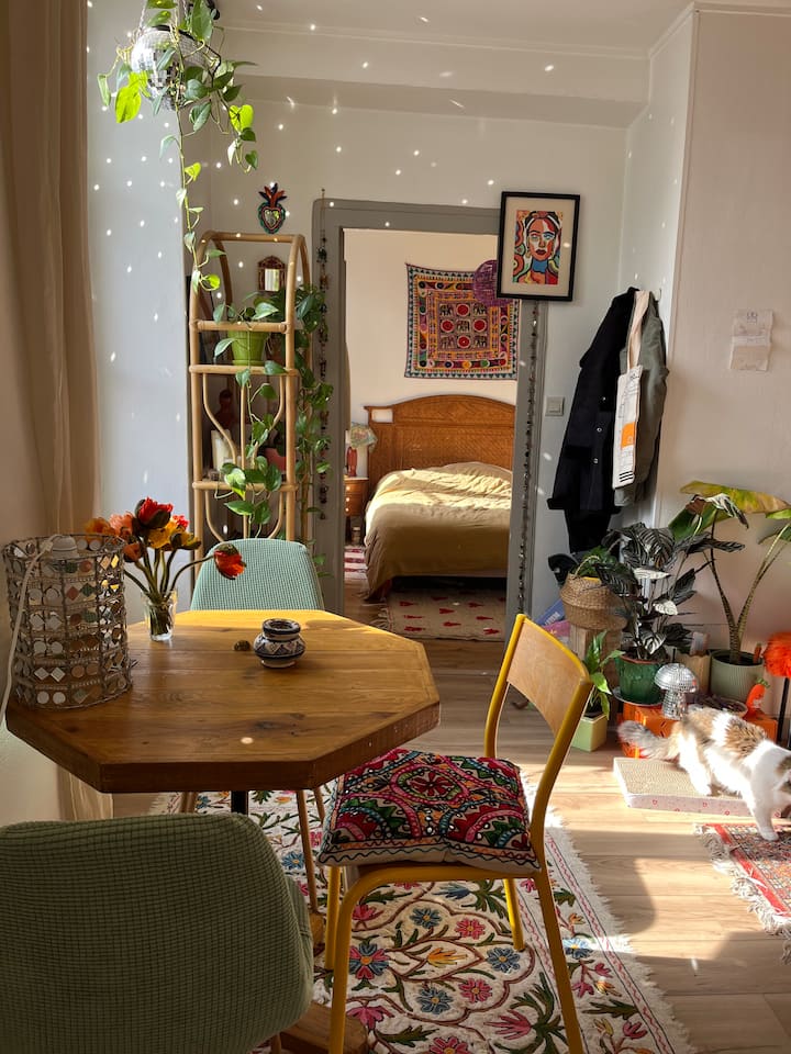 Charmant T2 Proche Centre-ville - Orléans