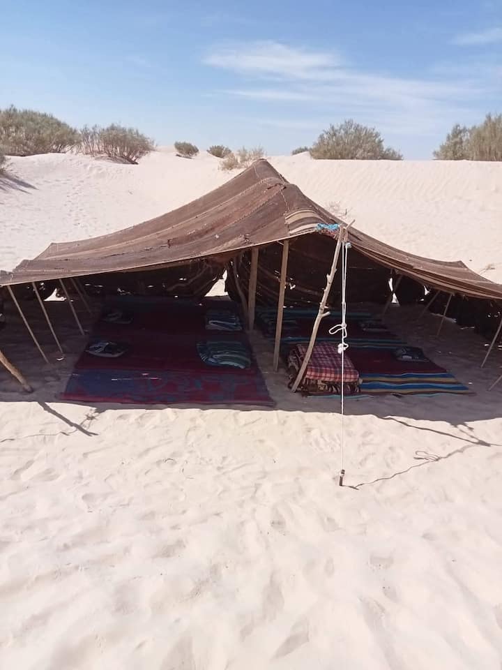 J'aime Faire Un Grand Plaisir Pour Vous Chez Moi. - Tunis