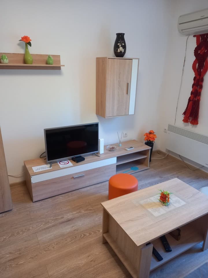 Apartman Lola Ruža - Zrenjanin