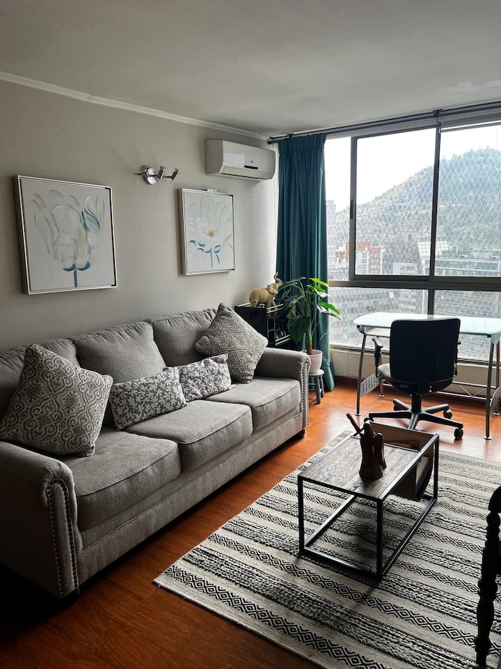 Providencia, A Pasos De Metro Pdv, A/c, Wifi. - Providencia, Chile