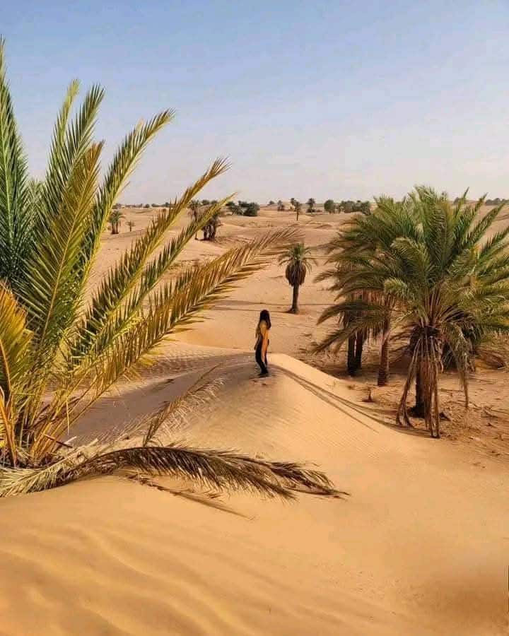 Bienvenue Chez Moi - Tunisie