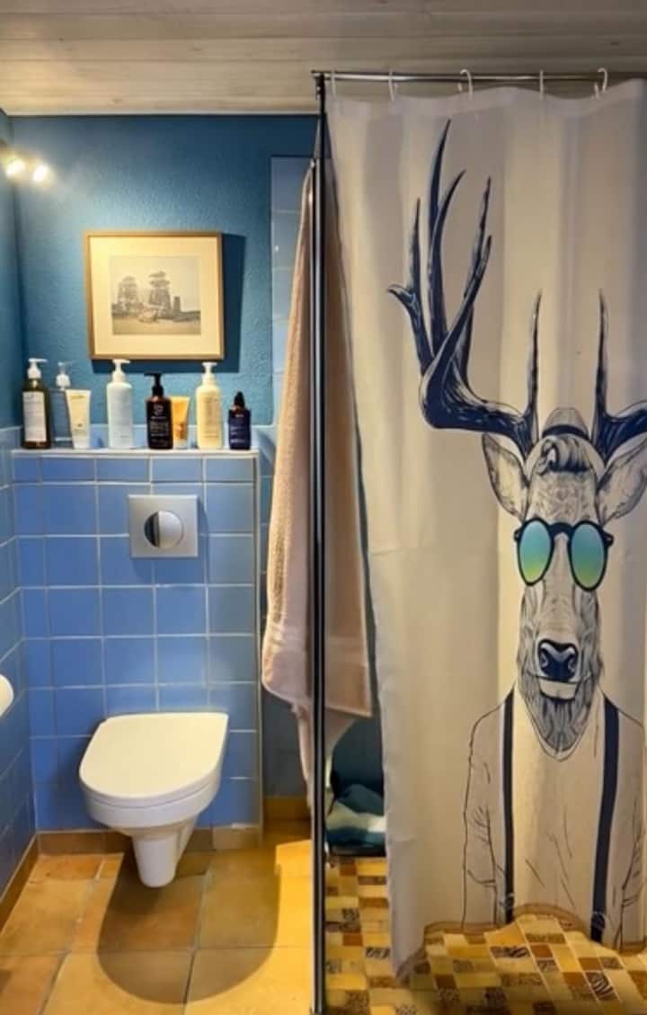 Maison Confortable Entre Deux Lacs - Archamps