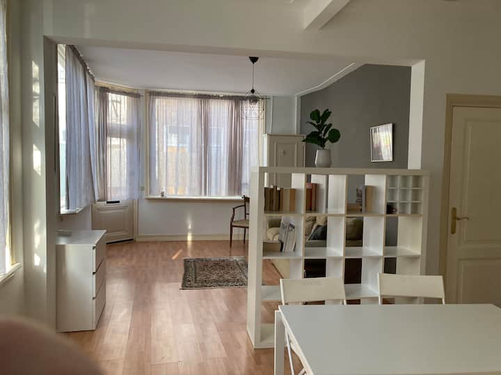 Bright City Flat - Utrecht