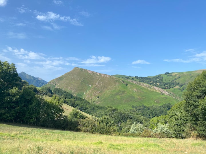 Appartement Au Pays Basque-vue Montagne - Bidarray