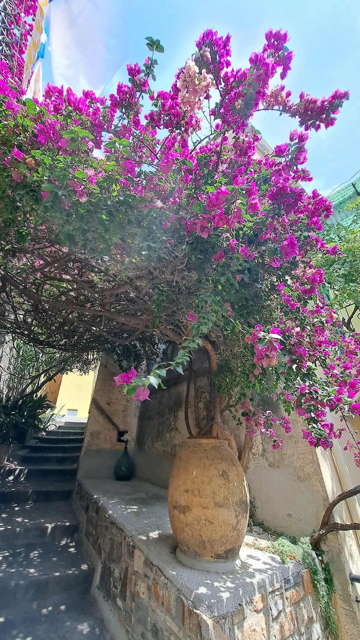 La Casa Della Bouganvillea - Affitti Brevi Italia - Imperia