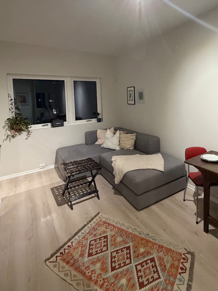Flat In Grünerløkka - Oslo