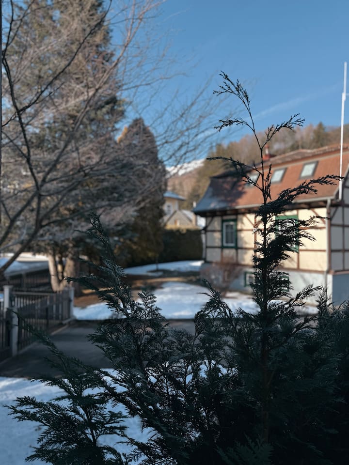 Raxis - Haus Für Kunst Natur Und Sport - Spital am Semmering