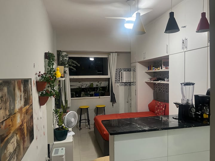 Themed Apartment In Copacabana/ipanema Beach - Río de Janeiro