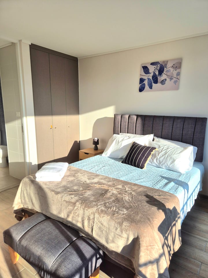 Luminoso Departamento En El Centro De Concepción - Concepción, Chile