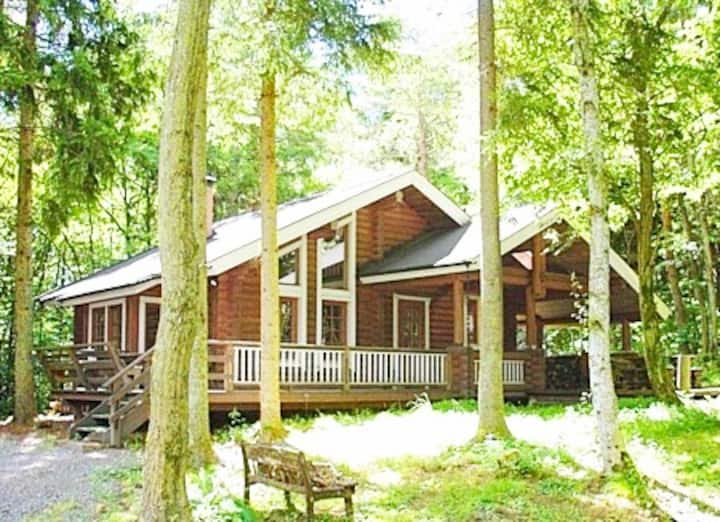 蓼科のログハウス /「ラナの家」 /  マツボックリ棟 - Saku