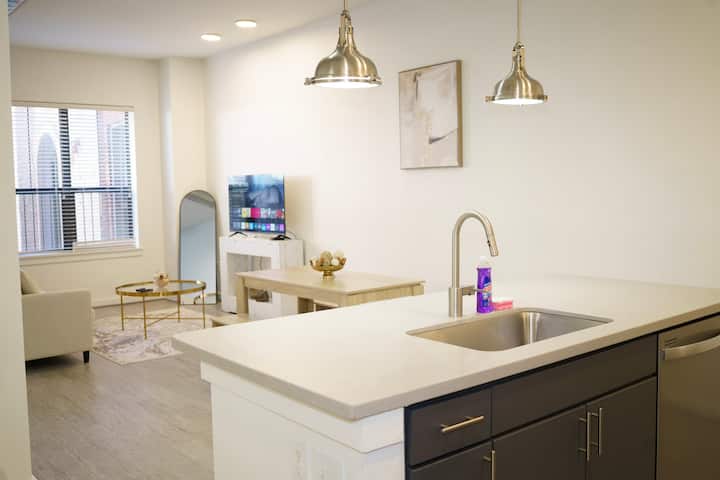 Downtown Close To Major Attractions - Houston, TX