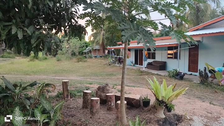 Coconut Curry 01 Near7-11 Kho  Yaonoi - Ko Yao Noi