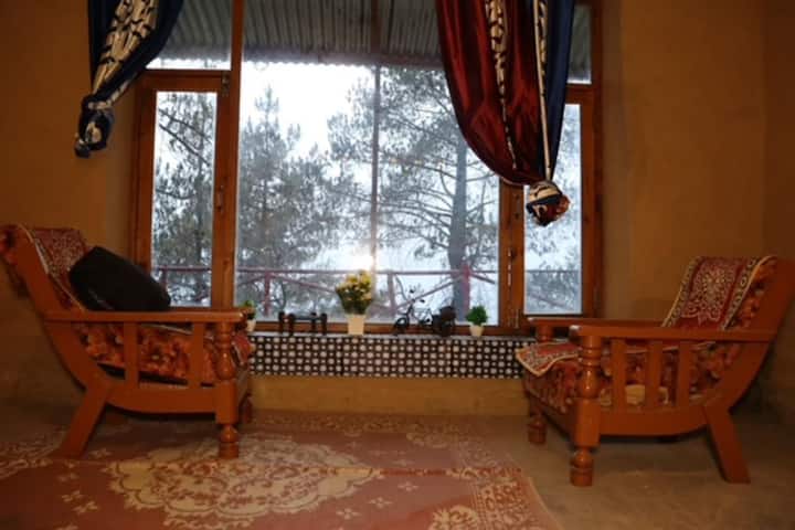 The Silent Grove: Nature’s Reset Button - Binsar