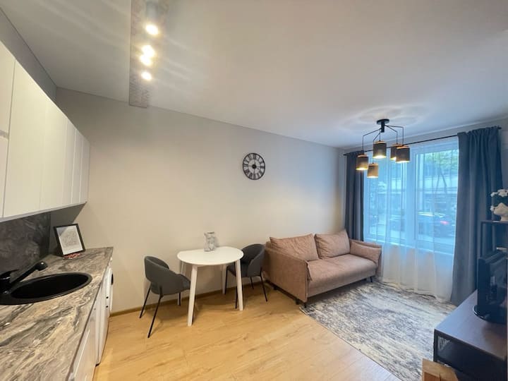 Cozy 1br Apartment Near Kaunas Center - Kaunas
