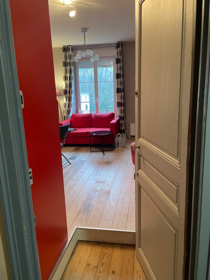 Face Au Parc Avec Ascenseur ! - Vittel