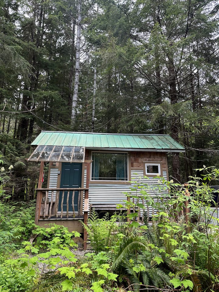 Rain Forest Cabin - Lake Crescent, WA