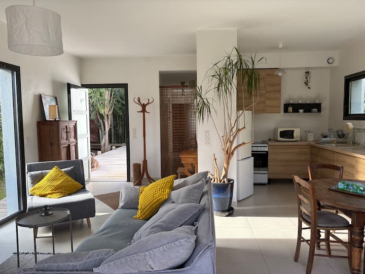Maison Contemporaine Avec Jardin Très Arboré - Montpellier