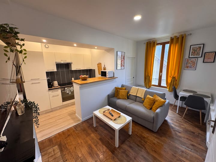 Mlle Mimosa - Calme En Hyper-centre - Troyes