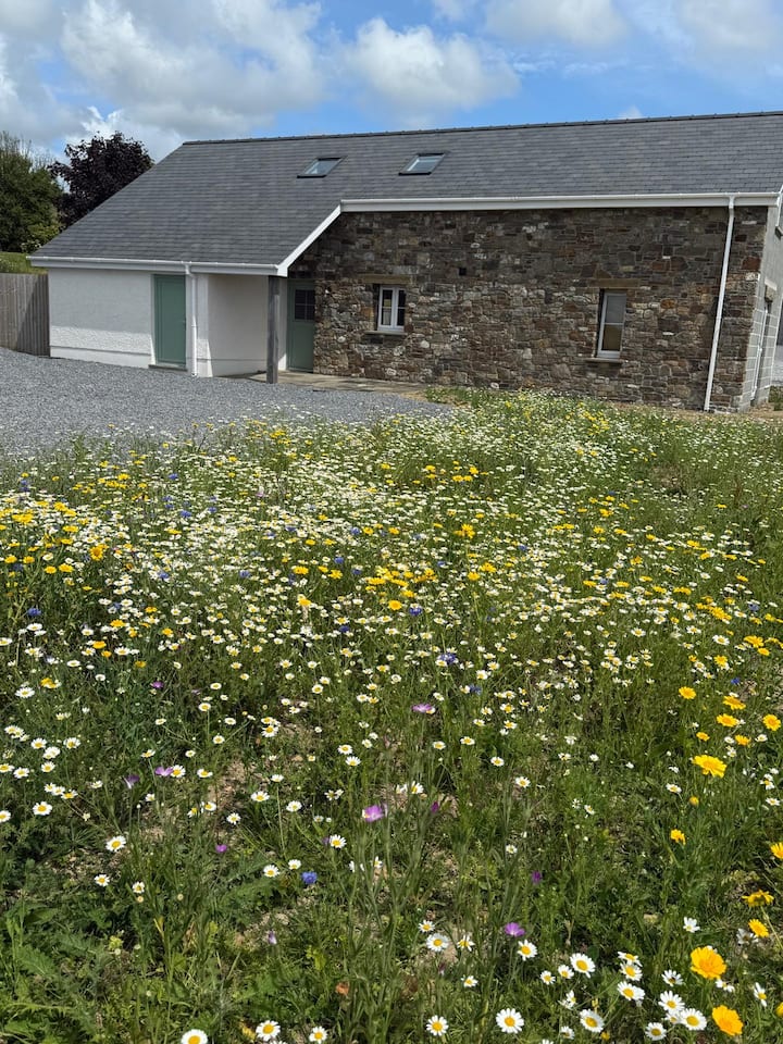 The Parlour - Llansteffan