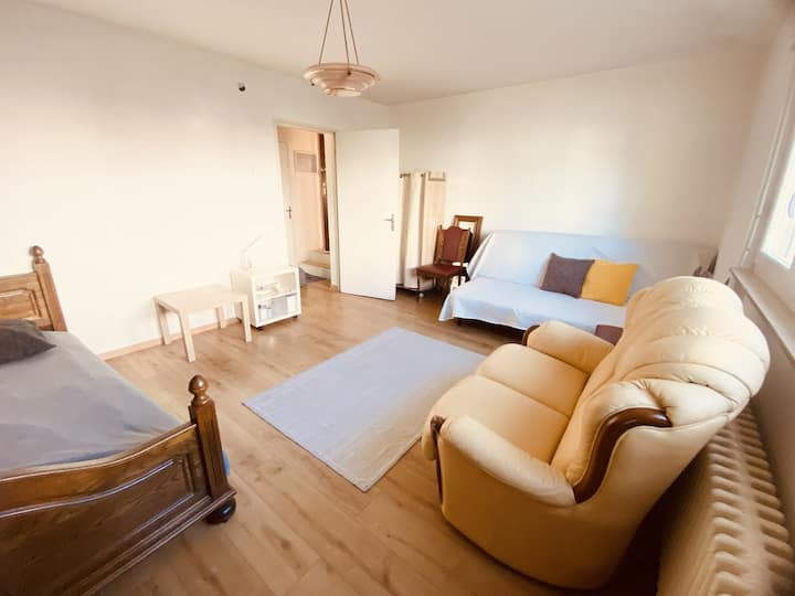 Appartement Confortable Et Complet De 41 M² (F1) - Thionville