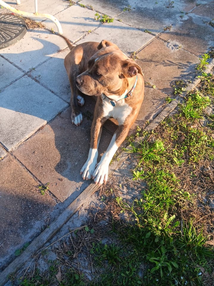 +*Lords Refuge House*+ - Vero Beach, FL