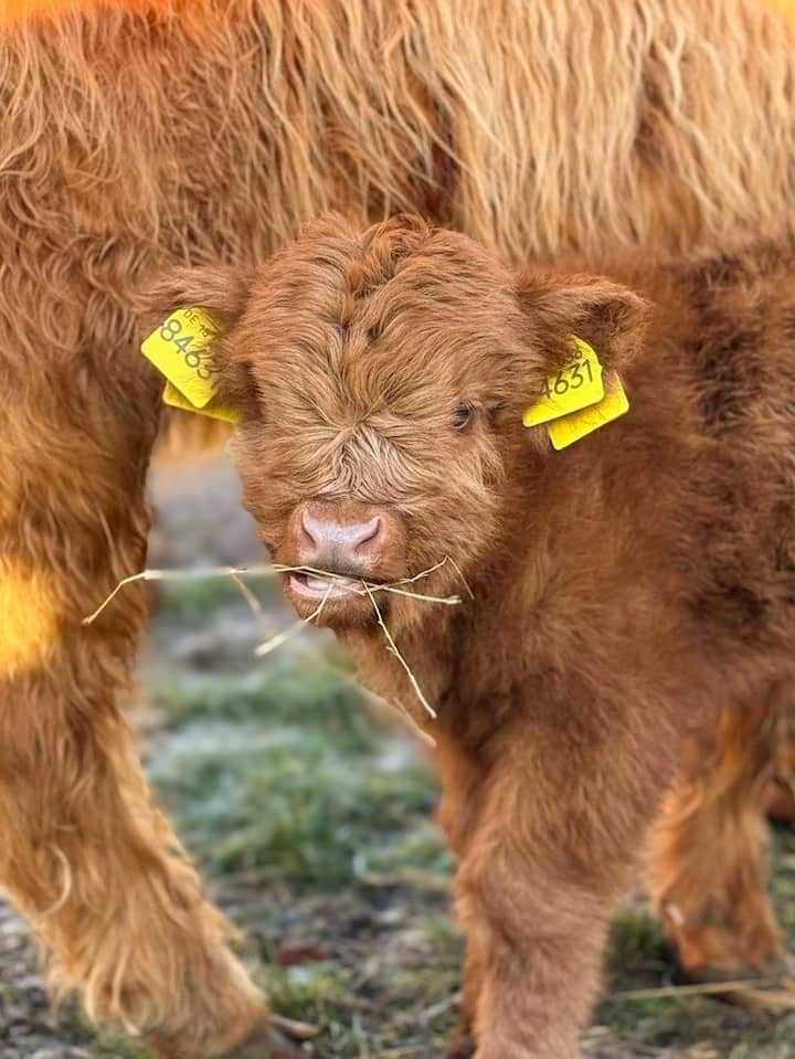 Natur, Ruhe & Hofleben - Rathenow
