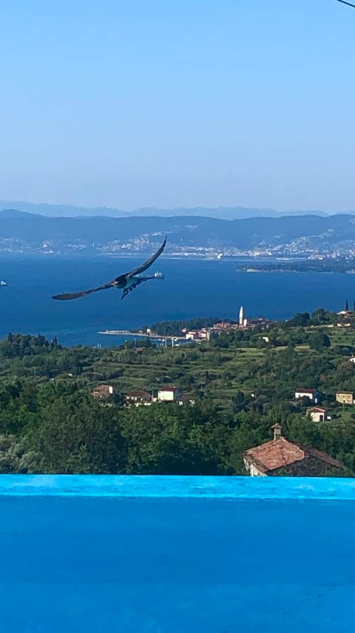 Apartma Melipu 4,  Infinity Bazen, Only Aduls 15+ - Koper