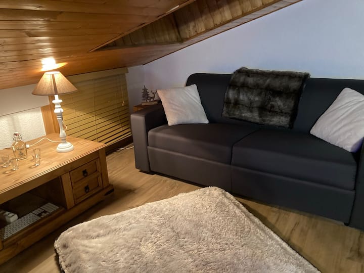 T2 Meublé à Châtel - Calme, Lac De Vonnes - Avoriaz