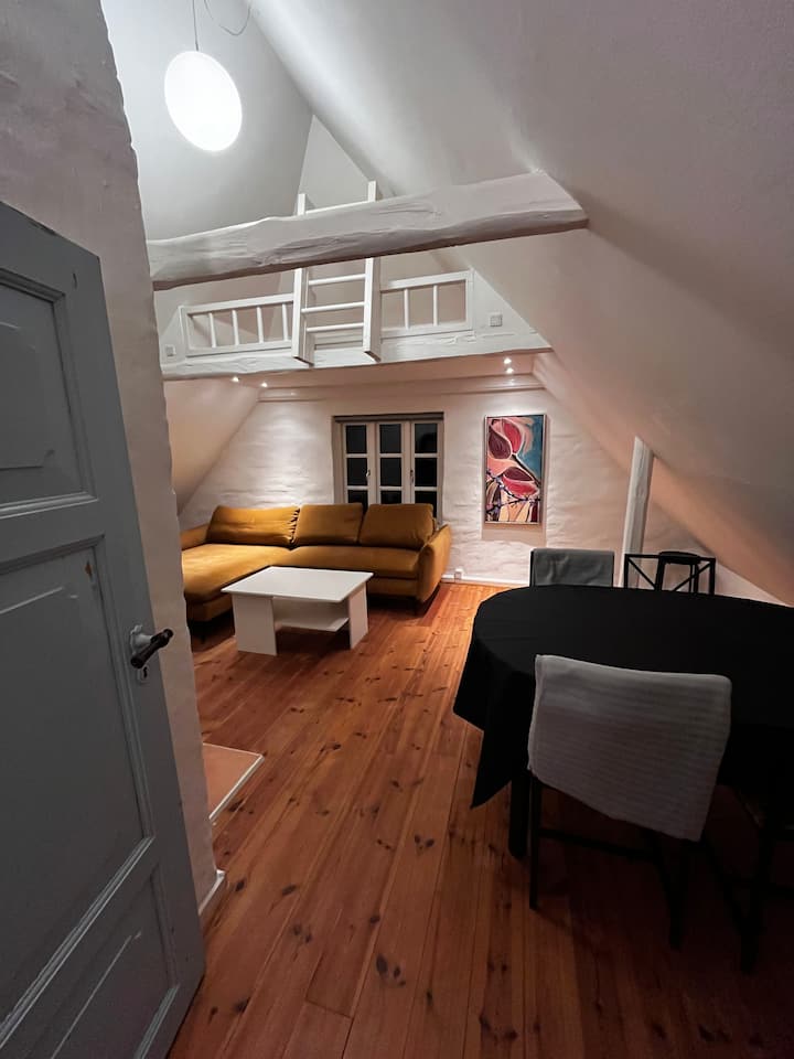 Hyggelig Landsbylejlighed Med Ro Og Charme - Hirtshals