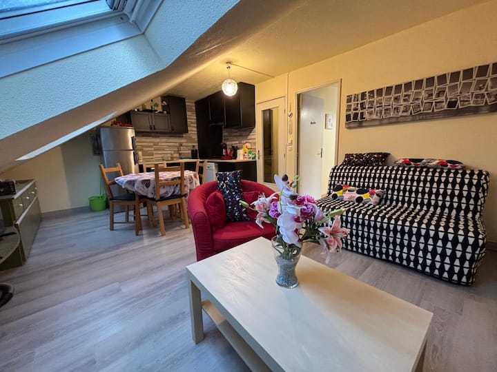 T2 Pyrénées 2000 Pied Des Pistes - Bolquère