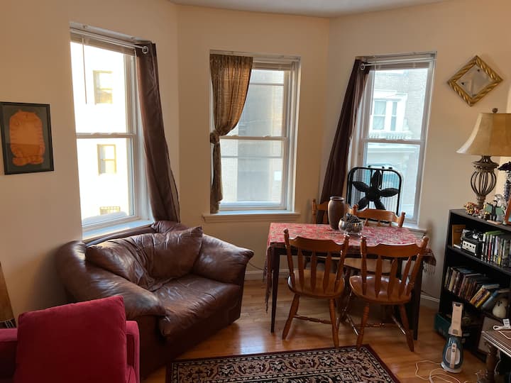 Furnished 1br Near Bu, Bc & Green Line - 브루클라인