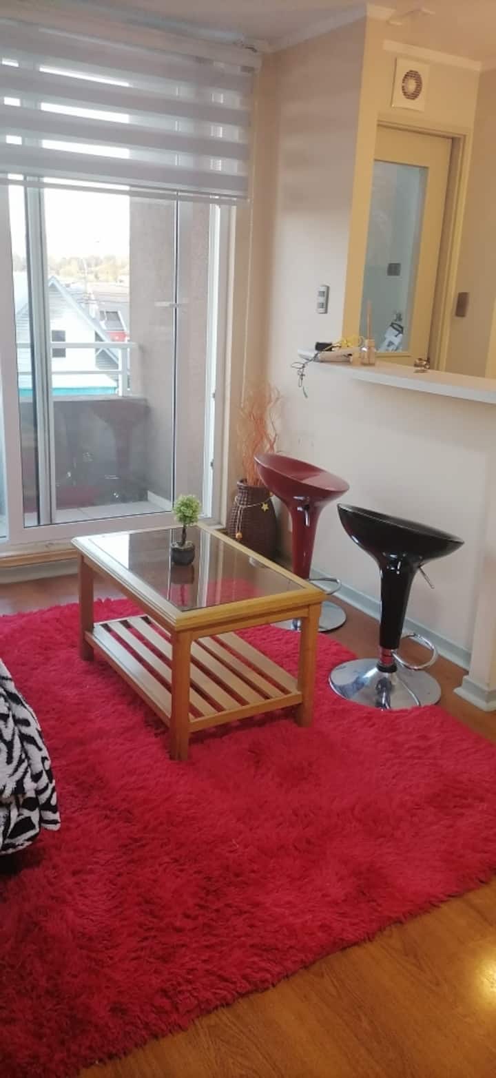 Arriendo Departamento Por Día, Temuco. - Labranza