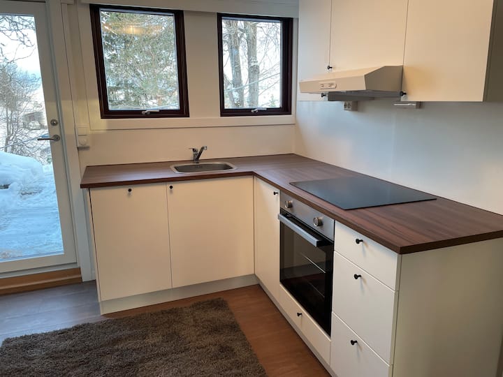 To-roms Leilighet Sentralt På Byåsen - Trondheim