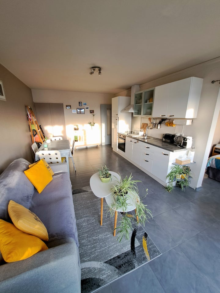 Le 5ème Ciel | 20min Centre | Wifi | Parking - Annecy