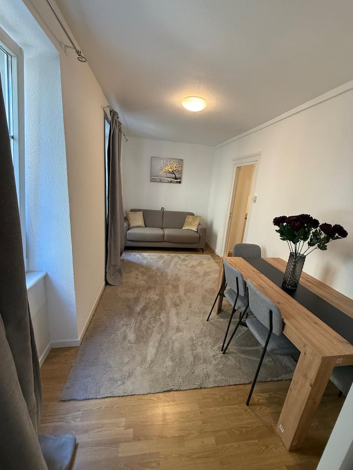 Deluxe Doppel Room With Bed Sofa - Basel