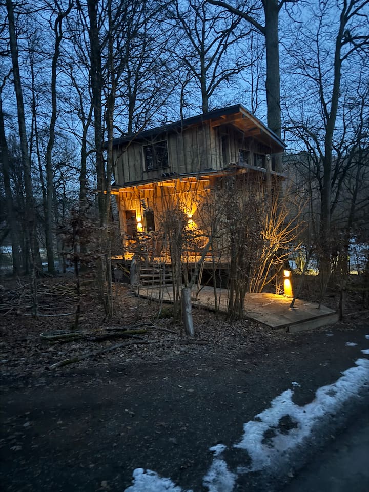 Wald-villa - Germany