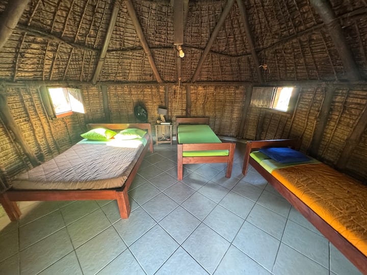 Gîte «&nbsp;Au Cœur De Lito&nbsp;» - New Caledonia