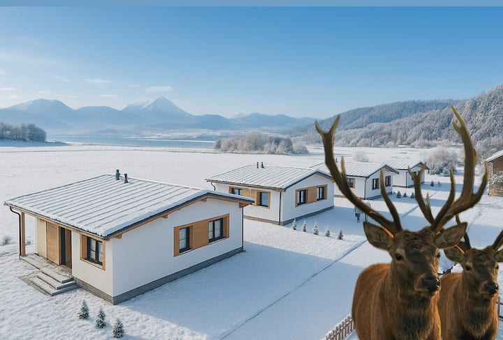 Dovolenkový Dom - Bešeňová