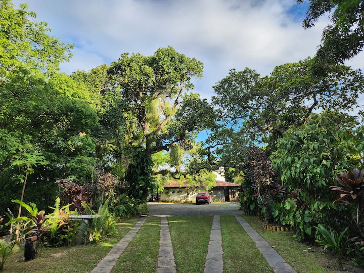 Chácara Bosque Aurora Com Piscina Em Aldeia - Recife