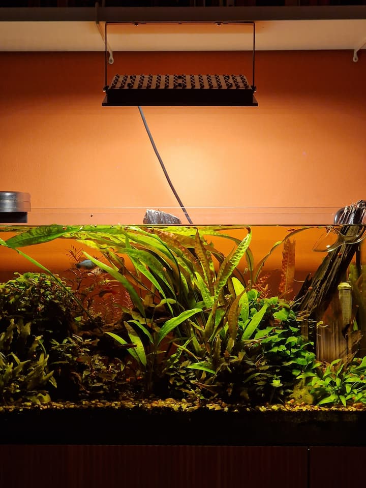 Aqua Retreat +Slow Evenings &Warm Light +Courtyard - Amberes, Bélgica