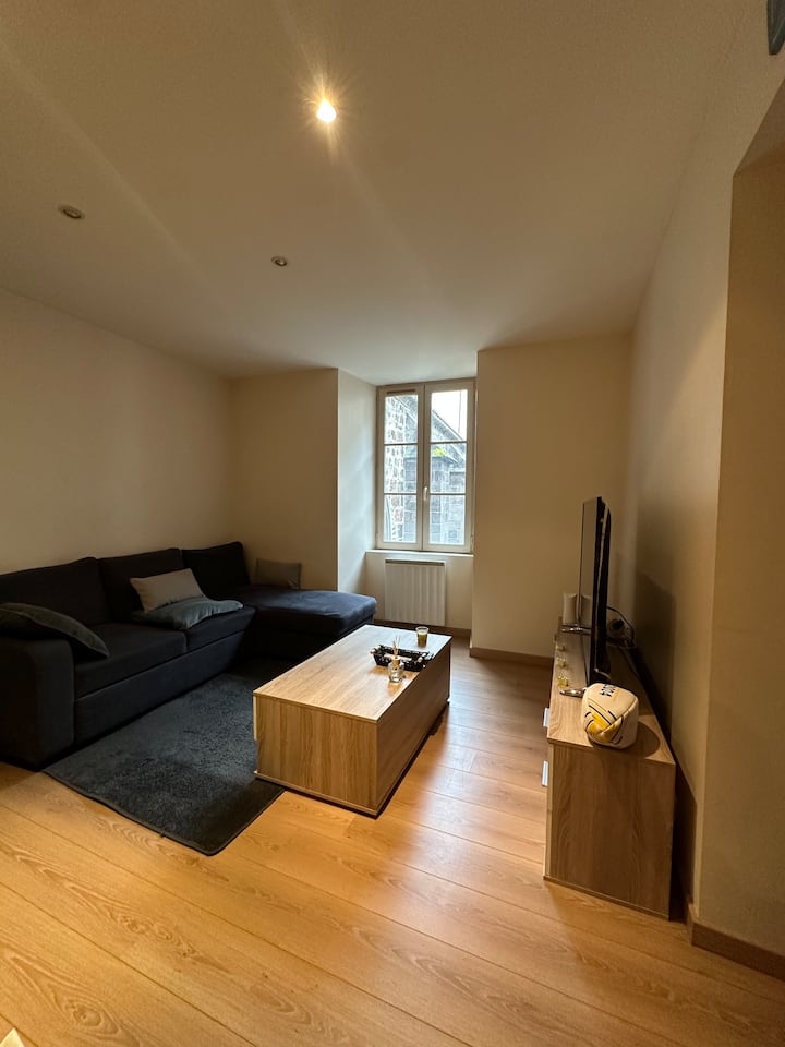 Appartement Au Cœur Du Centre-ville - Château du Sailhant