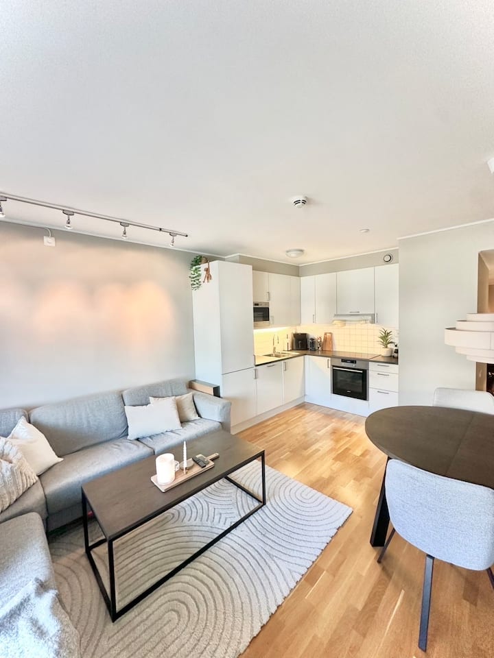 Koselig Og Sentral Leilighet Med Parkering. - Trondheim