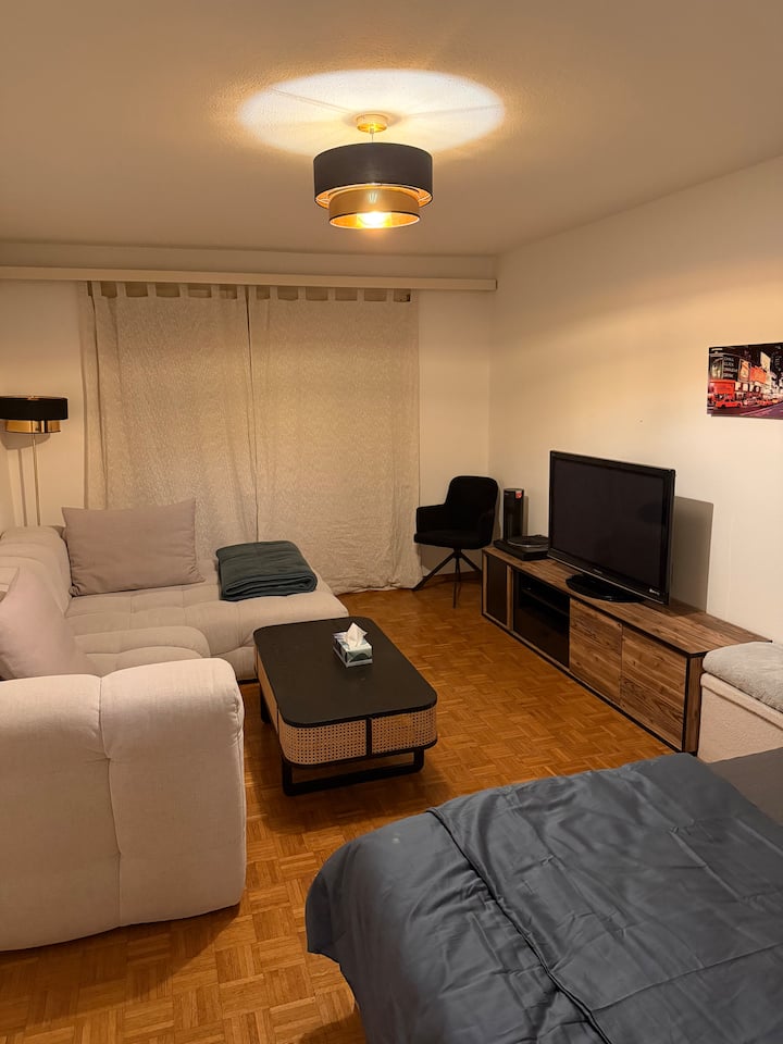 Charmant & Cozy Studio In Zurich - Zürich