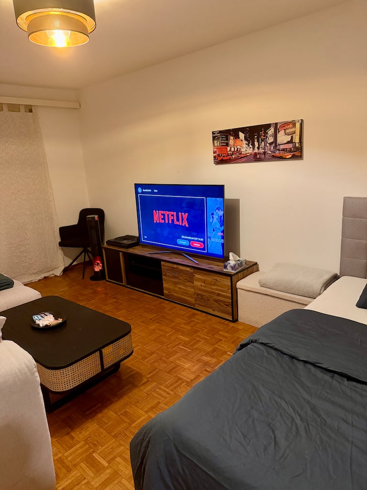 Charmant & Cozy Studio In Zurich - Zürich