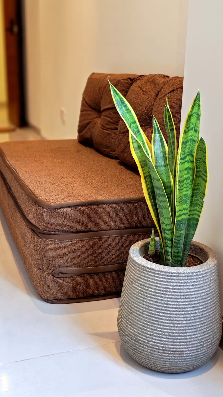 Monoambiente Pool & Confort | Equipe Haus - Bolivia