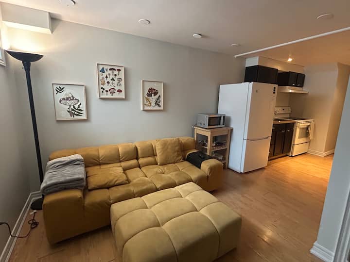 1 Bed 1 Bath Unit Near Ttc, Up And Go Train - Toronto